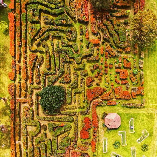 Granties Maze - Kiama Business Network