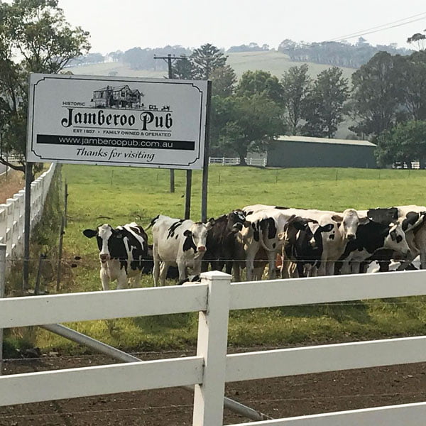 Jamberoo Pub and Saleyard Motel - Kiama Business Network